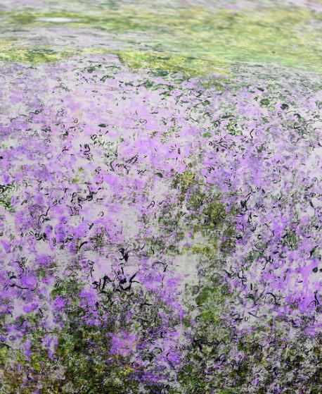 Violette Rosières - Daniel Allisy - Sails & Rods